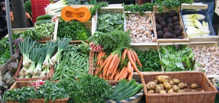 Septembre, liste des légumes à mettre en place au potager