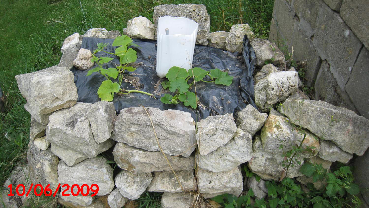 Tamiser le compost | Forum jardinage