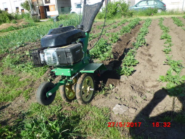buter les patate | Forum jardinage